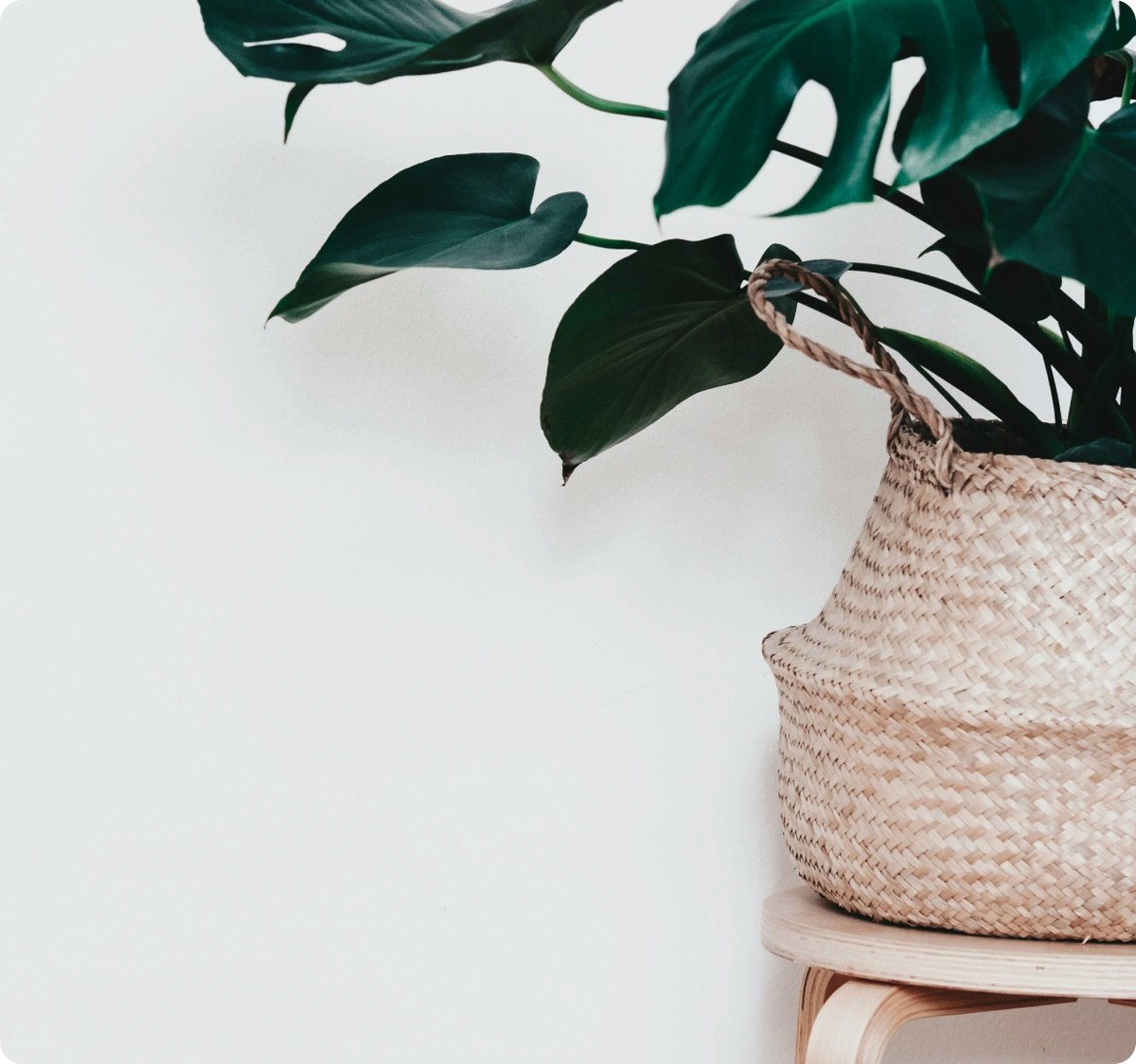 Boilers with Fixed Prices & Next Day Installation